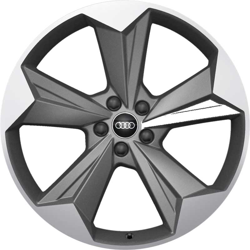Audi Sport 5 Arm Rotor Evo Alloys - 21" - Alloy Wheels Direct